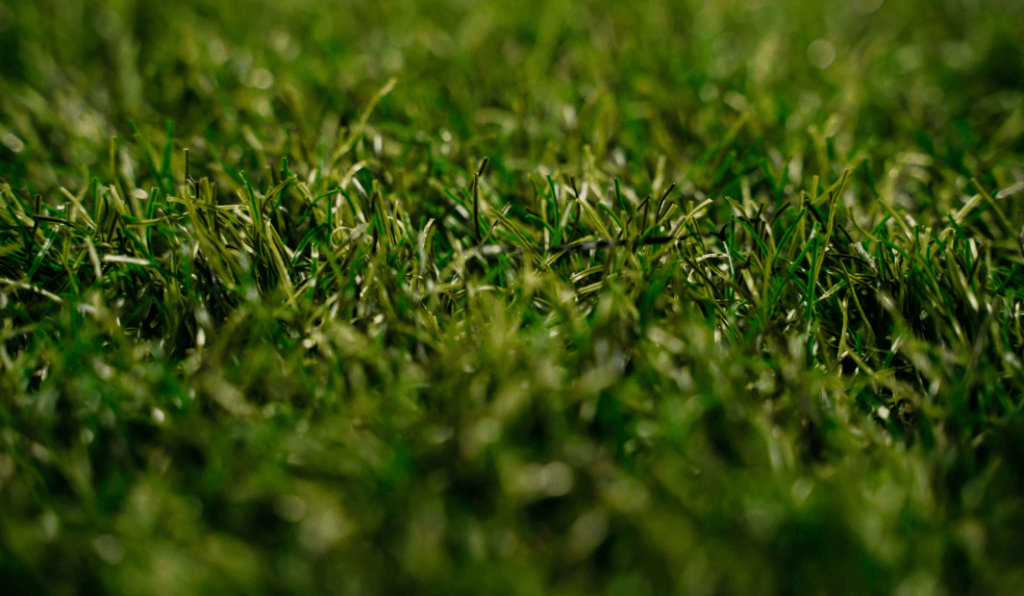 RAHDO Landscaping | Synthetic Yarns for Artificial Landscape Turf ...